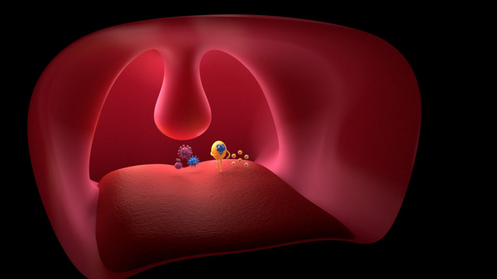 Lysobact “Hero” - KnapStudio